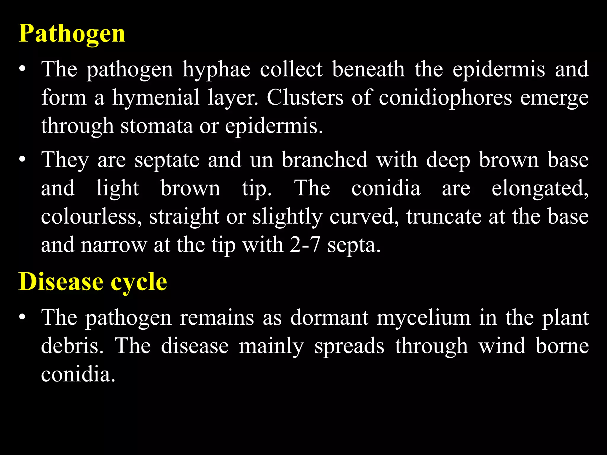 DISEASES OF CASTOR.pptx | Gardening | Home & Garden