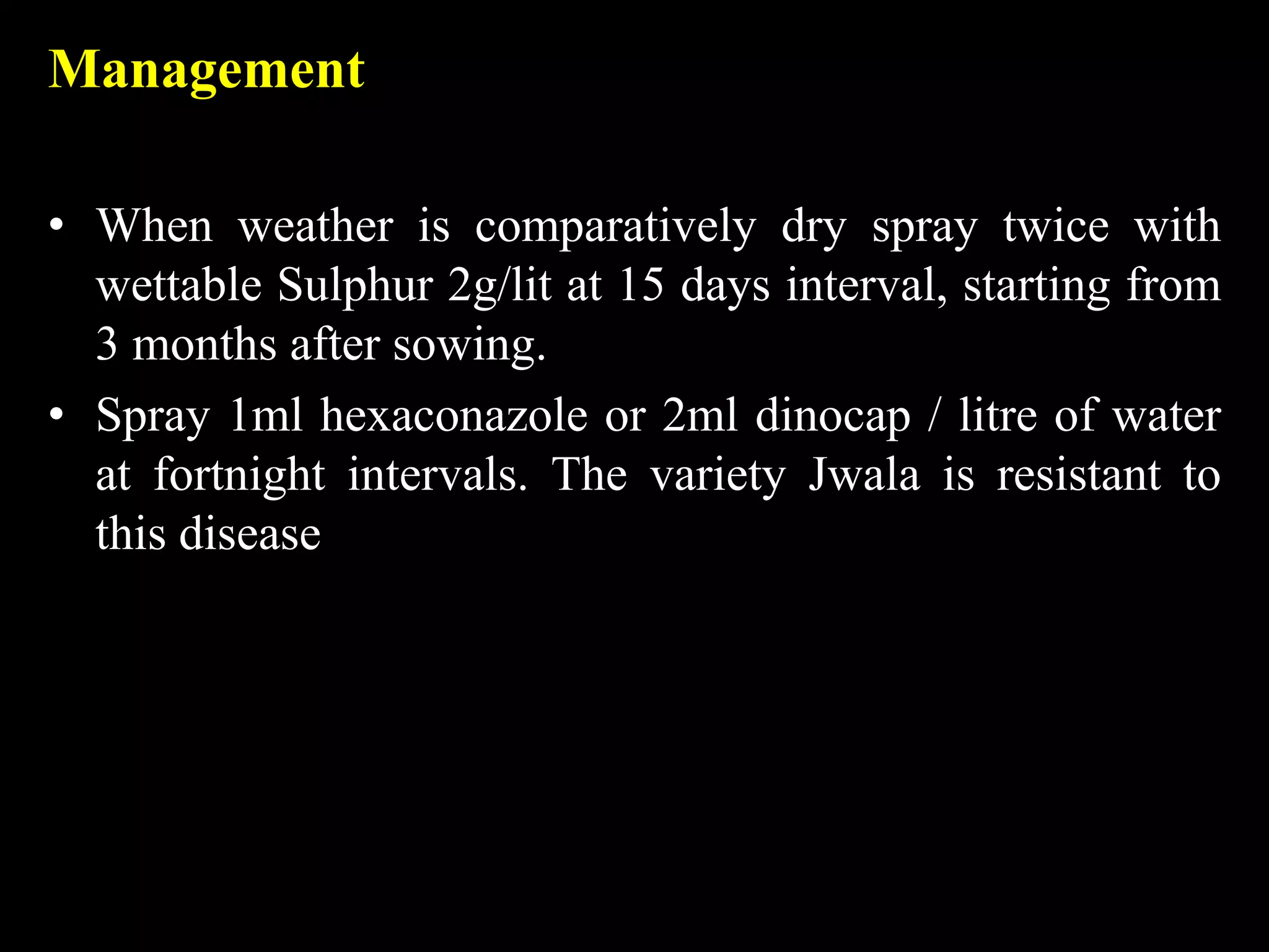 DISEASES OF CASTOR.pptx