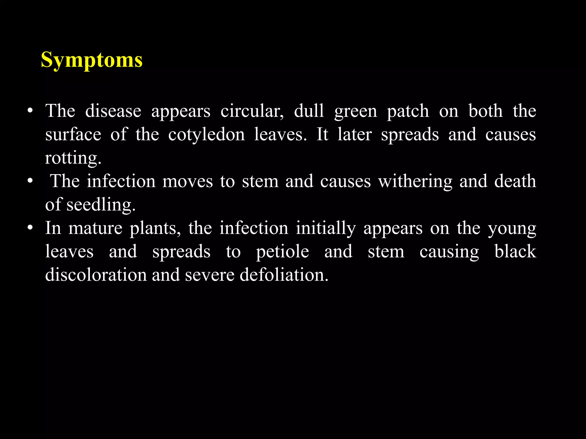 DISEASES OF CASTOR.pptx