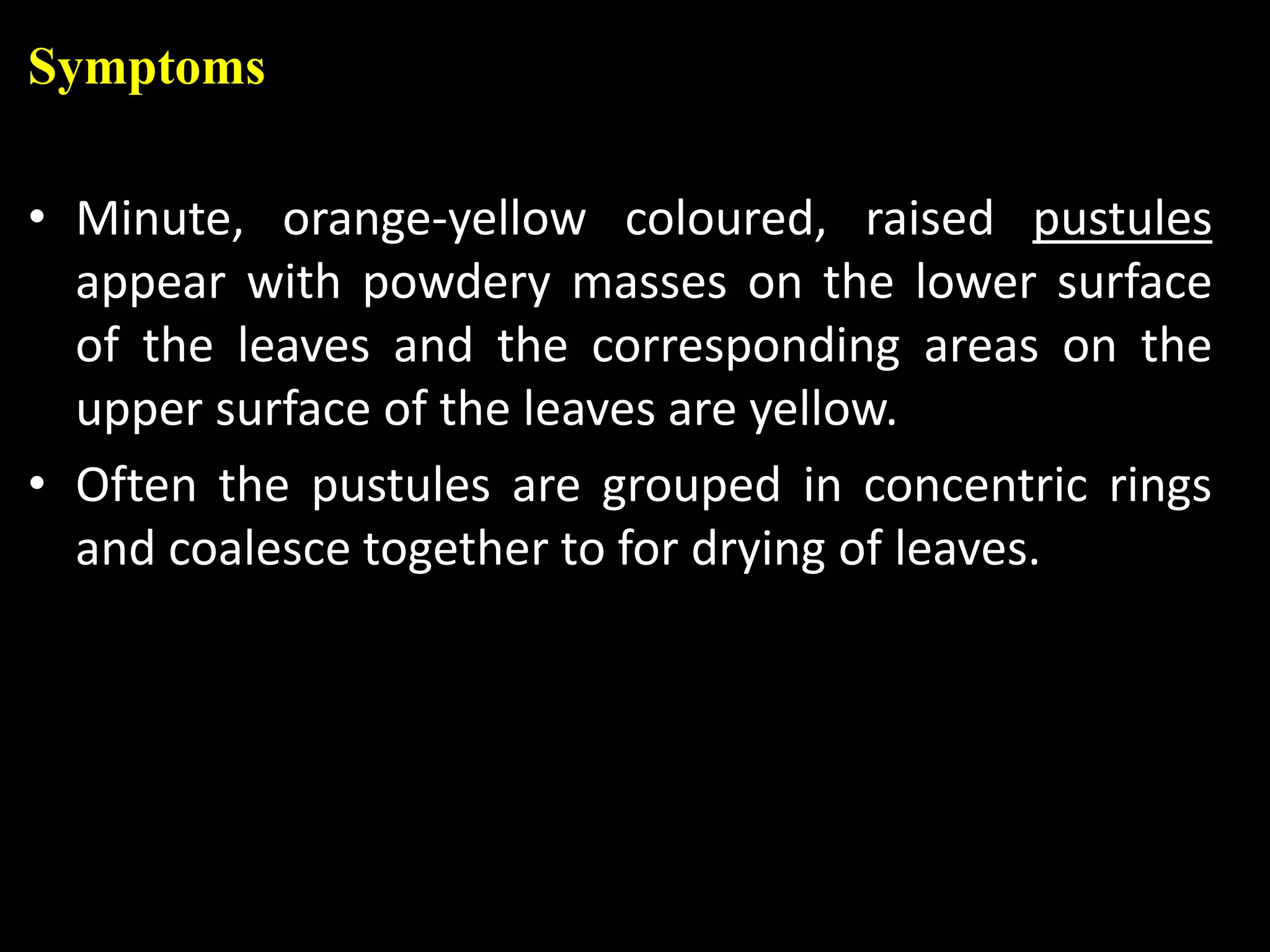 DISEASES OF CASTOR.pptx | Gardening | Home & Garden