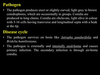 DISEASES OF CASTOR.pptx