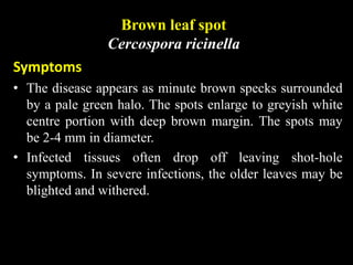 DISEASES OF CASTOR.pptx