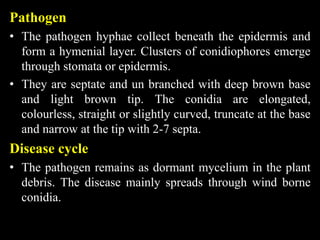 DISEASES OF CASTOR.pptx