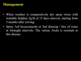 DISEASES OF CASTOR.pptx
