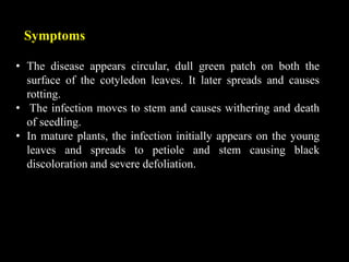 DISEASES OF CASTOR.pptx