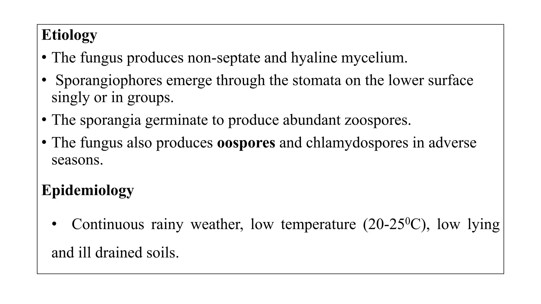 Diseases of castor by SACHIN R KONDAGURI.pptx