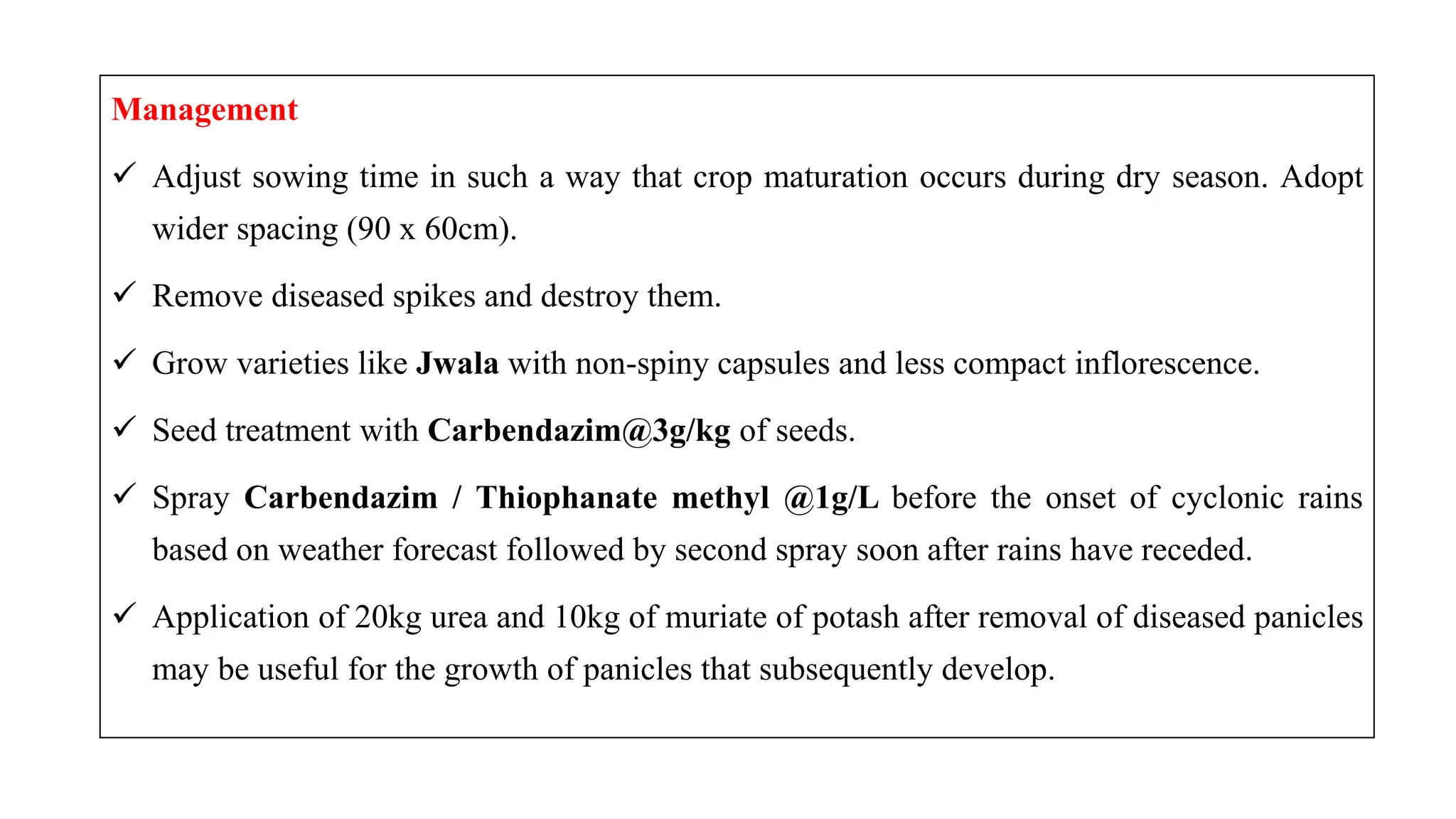 Diseases of castor by SACHIN R KONDAGURI.pptx