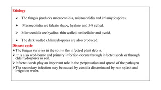 Diseases of castor by SACHIN R KONDAGURI.pptx