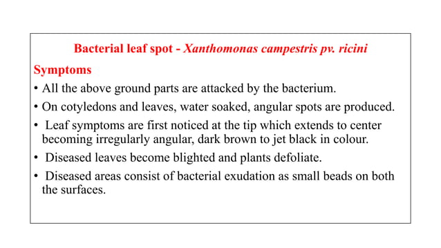Diseases of castor by SACHIN R KONDAGURI.pptx | Gardening | Home & Garden