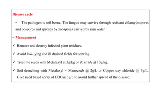 Diseases of castor by SACHIN R KONDAGURI.pptx