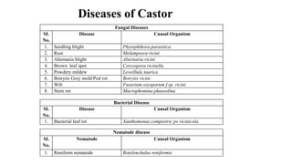 Diseases of castor by SACHIN R KONDAGURI.pptx