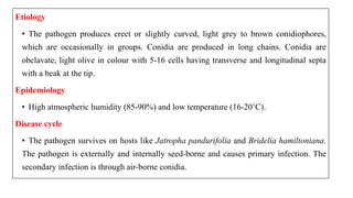 Diseases of castor by SACHIN R KONDAGURI.pptx