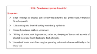 Diseases of castor by SACHIN R KONDAGURI.pptx