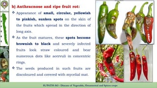 Diseases of chilli, cause, etiology, management | PPTX