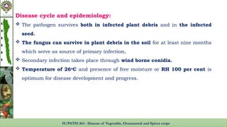 Diseases of chilli, cause, etiology, management | PPTX