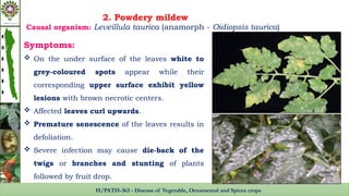 Diseases of chilli, cause, etiology, management | PPTX