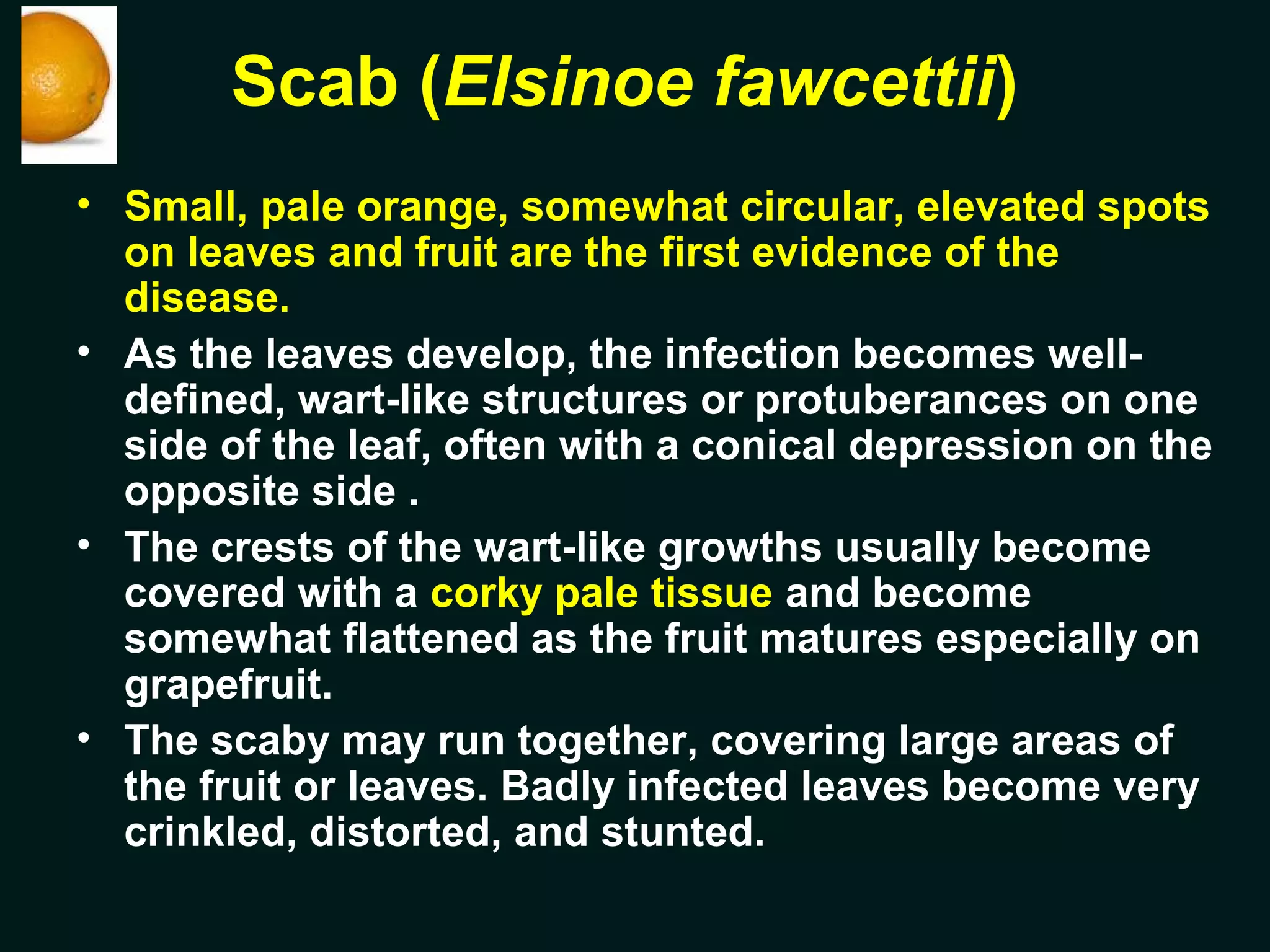 Diseases of citrus | PPT