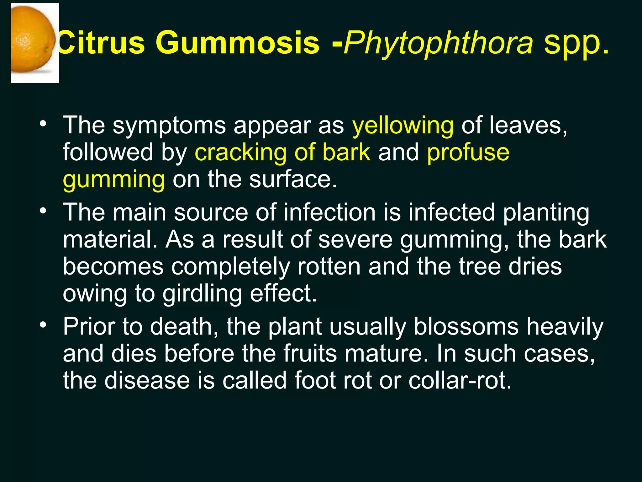 Diseases of citrus | PPT