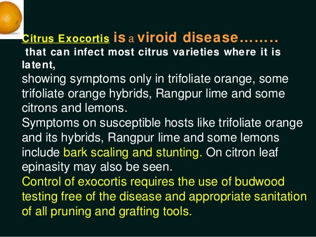 Diseases of citrus