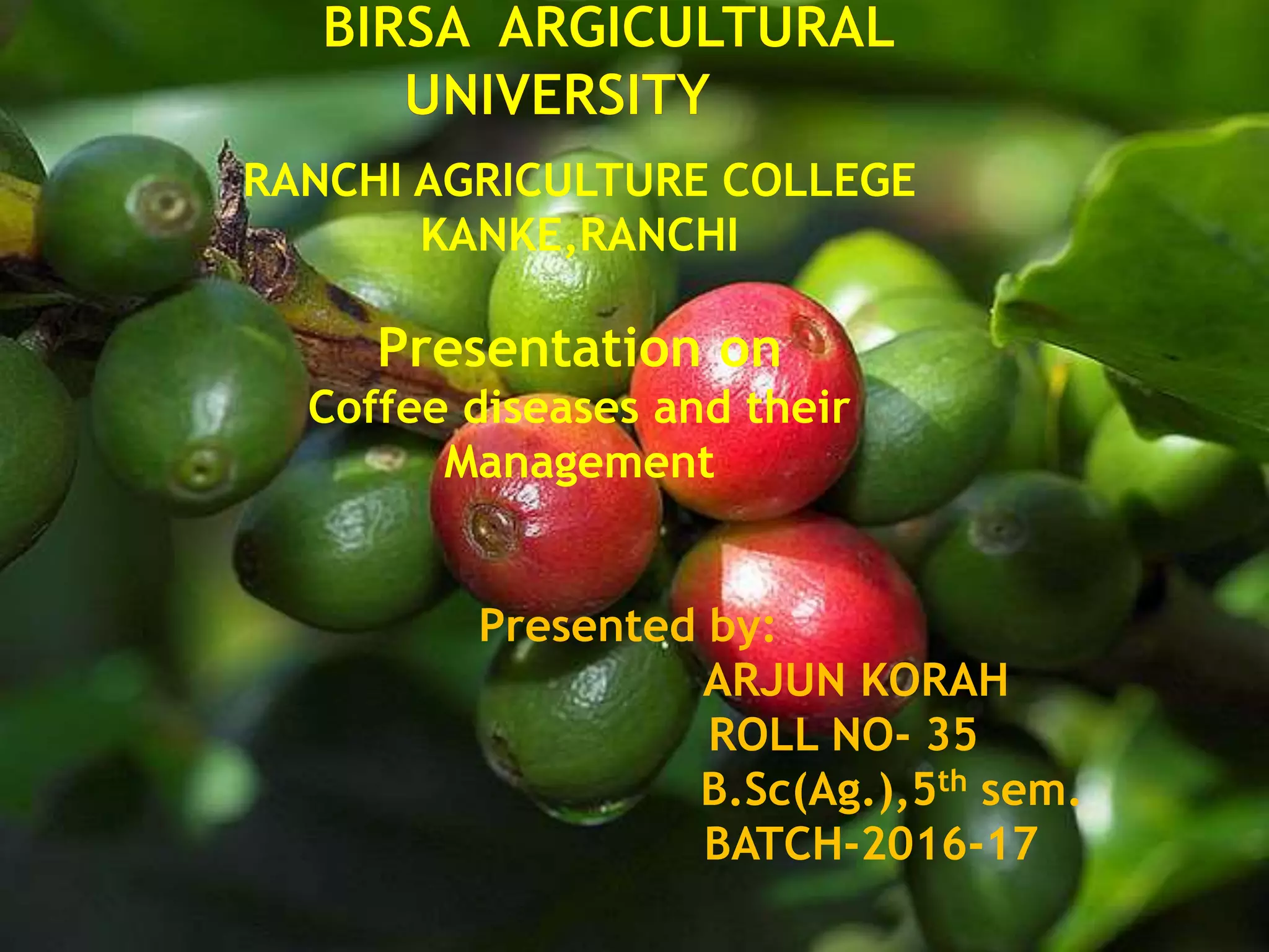 Diseases of coffee | PPTX
