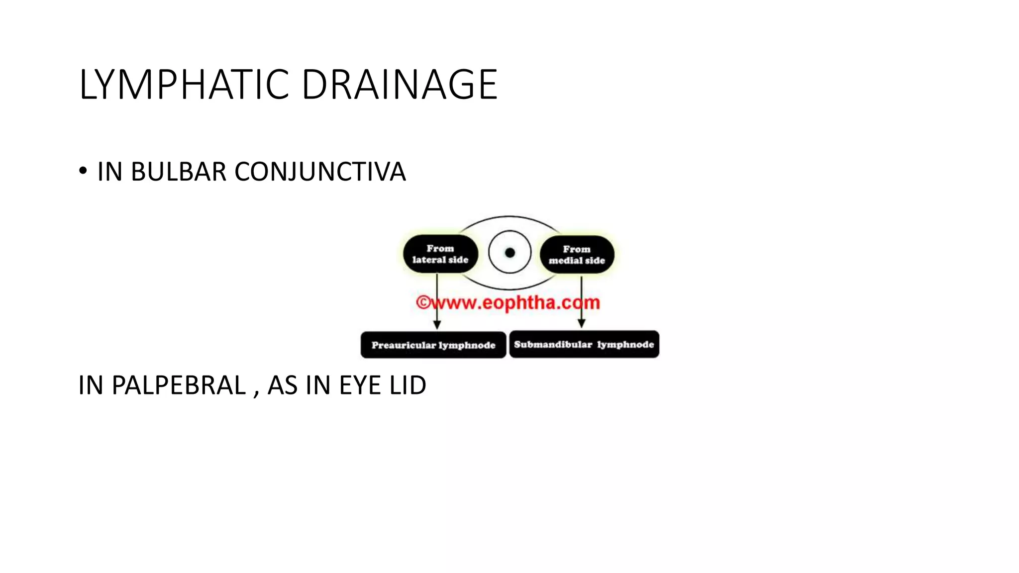Diseases Of Conjunctiva Ppt Ophthalmology Pptx