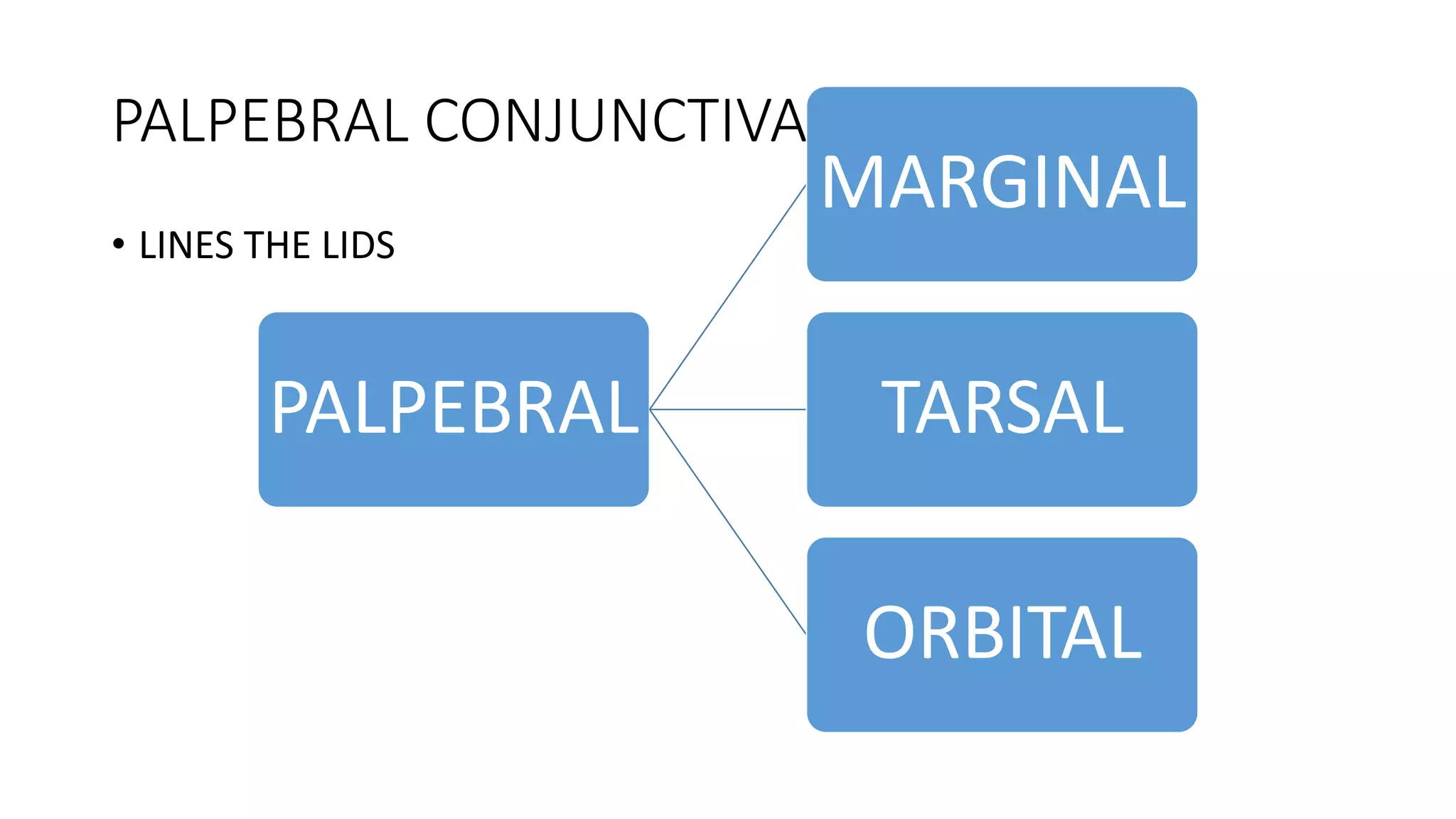 Diseases of conjunctiva ppt ophthalmology | PPTX