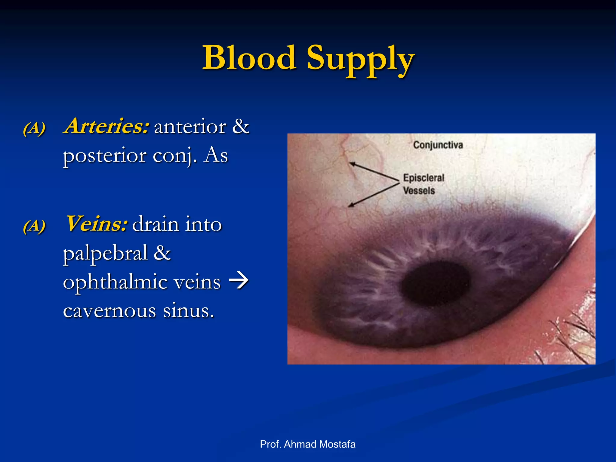 Diseases of conjunctiva | PPT