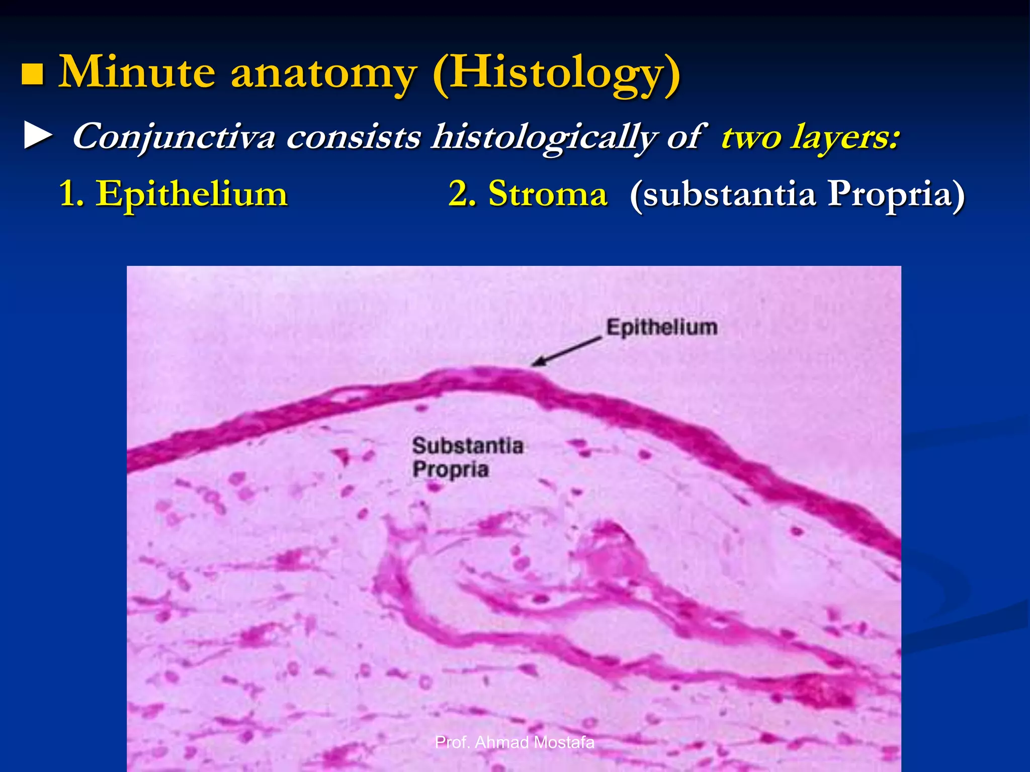 Diseases of conjunctiva | PPT