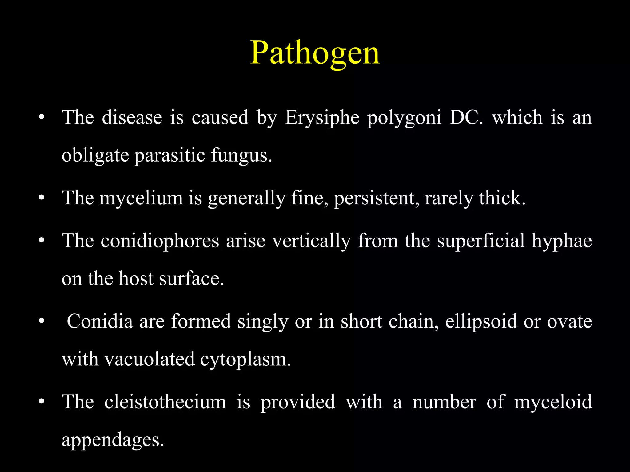 Diseases of coriander | PPTX
