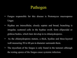 Diseases of coriander | PPTX