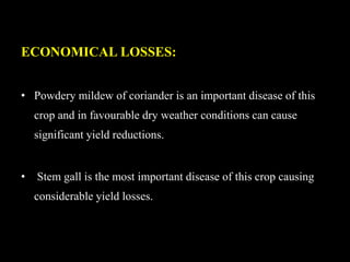 Diseases of coriander | PPTX