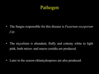 Diseases of coriander | PPTX