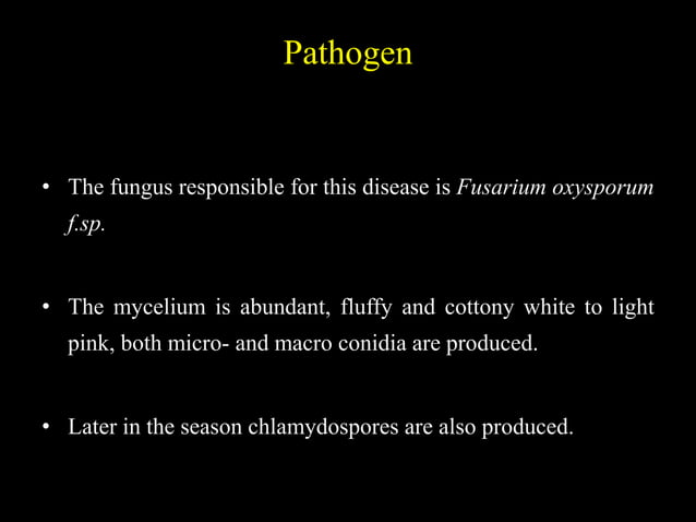 Diseases of coriander | PPTX | Agriculture | Industries