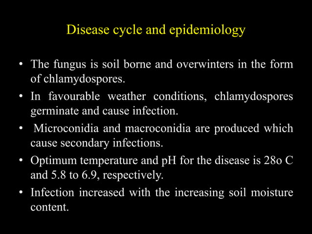 Diseases of coriander | PPTX | Agriculture | Industries