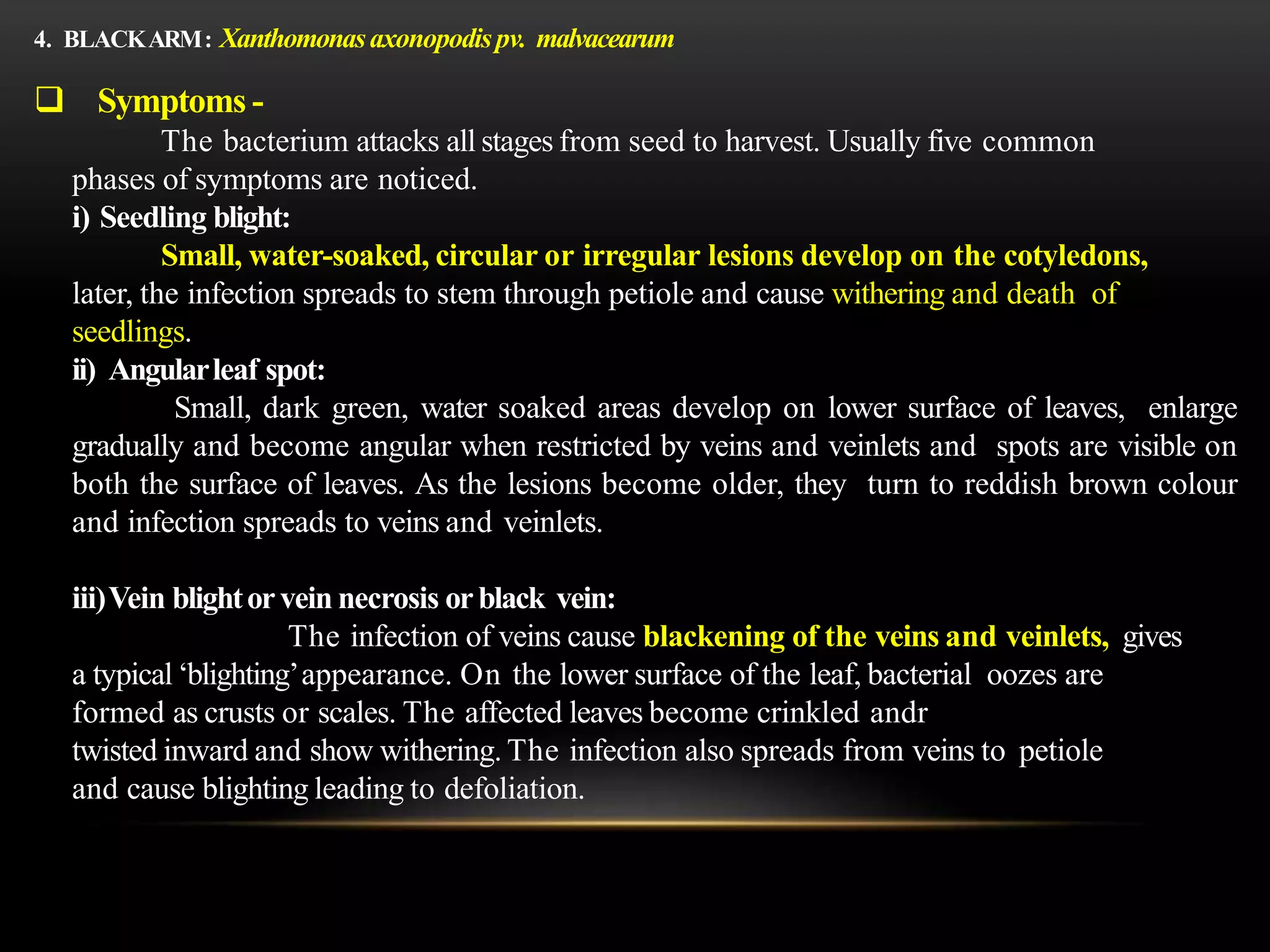 Diseases of cotton | PPTX