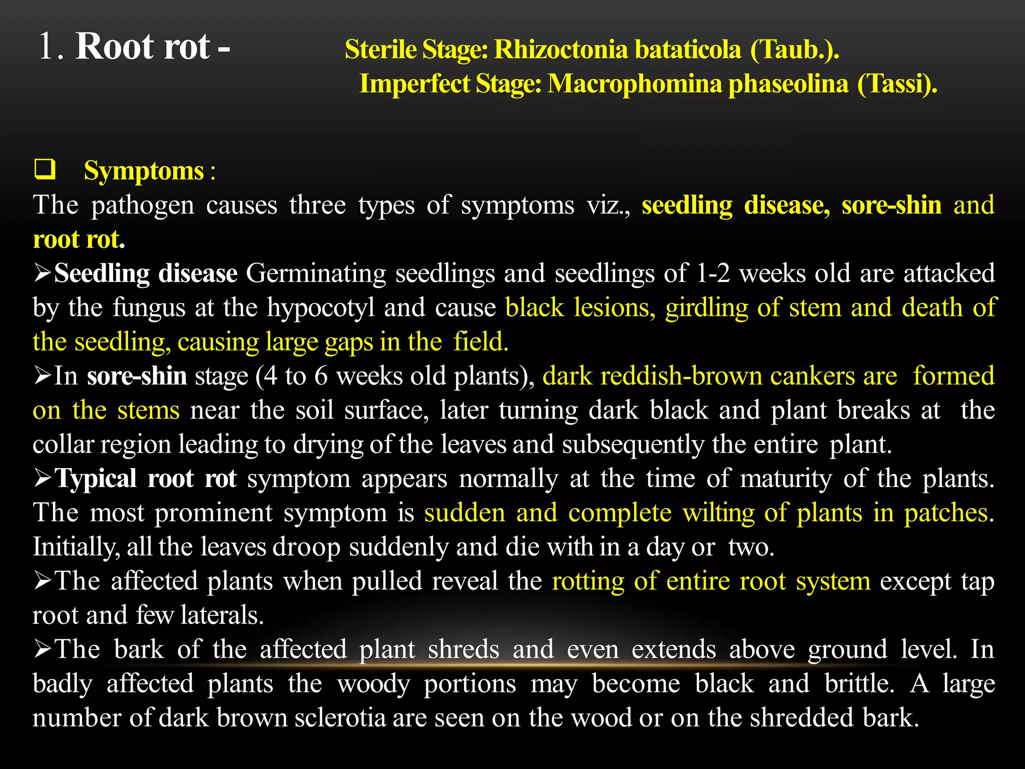 Diseases of cotton | PPTX