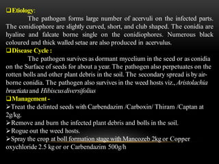 Diseases of cotton | PPTX