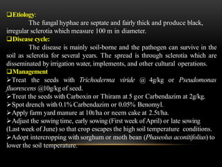 Diseases of cotton | PPTX