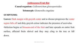 Diseases of Custard apple.pdf
