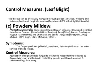 Diseases of dalbergia sissoo | PPTX