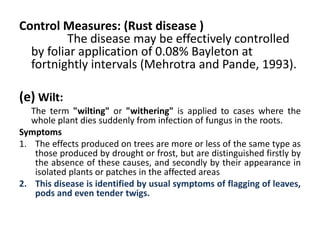 Diseases of dalbergia sissoo | PPTX