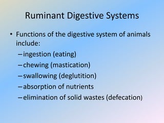Diseases_of_Digestive_system in animals. | PPT