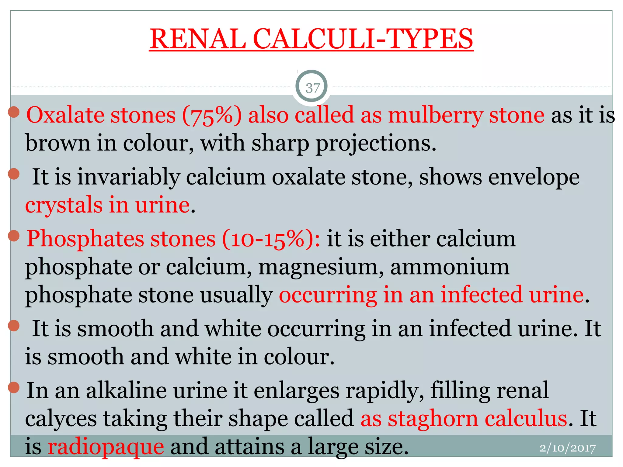 Diseases of excretory system | PPT