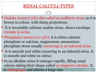 Diseases of excretory system | PPT