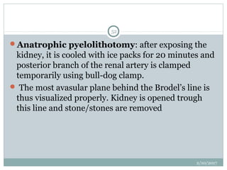 Diseases of excretory system | PPT