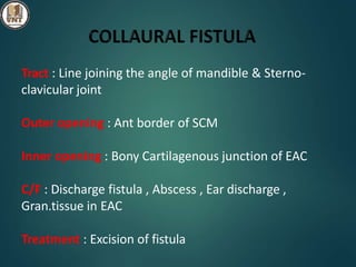 Diseases of external ear | PPTX