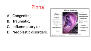 diseasesofexternalear | PPT