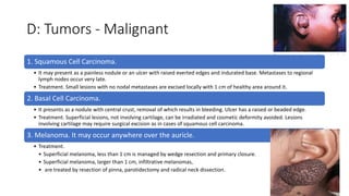 Diseases of External Ear.pptx