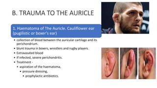 Diseases of External Ear.pptx