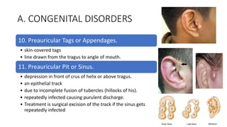 Diseases of External Ear.pptx
